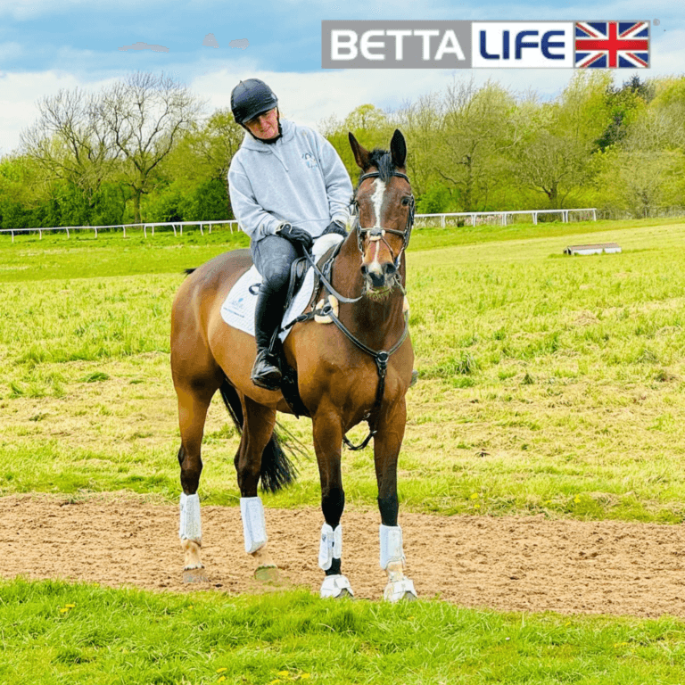 Top Tips for Equine Fitness - BETTALIFE®